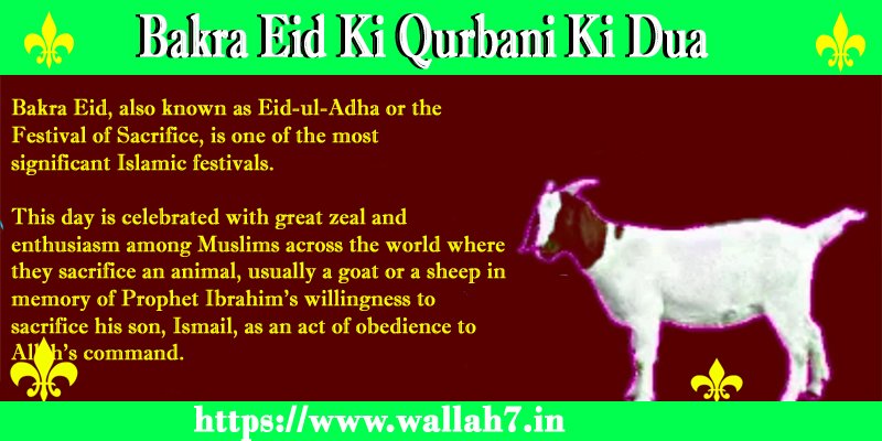 Bakra Eid Ki Qurbani Ki Dua – The Significance and Importance बकरा ईद ...